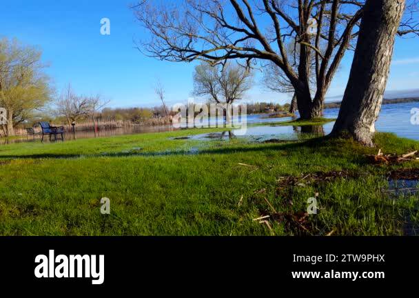 Increasing Rising Water Level in Nature. Climate Change Result. Flooded ...