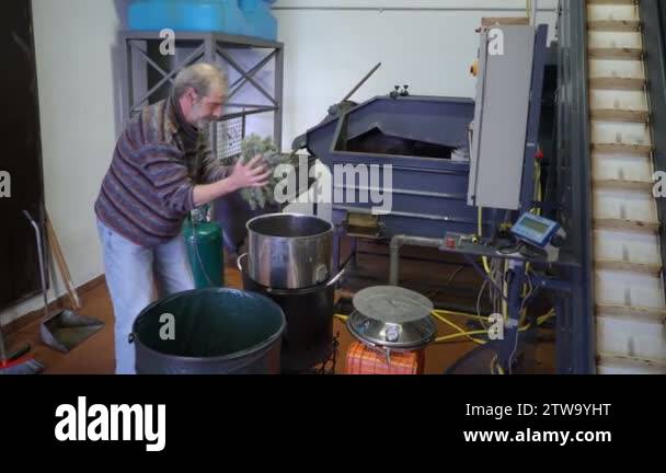 Production of perfume essences by steam distillation in distillation ...