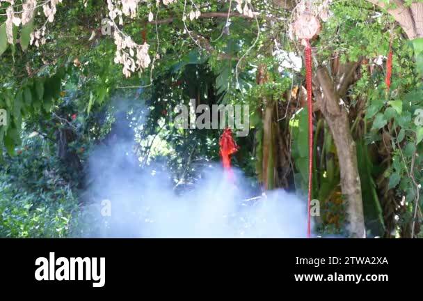 Firecrackers chinese Stock Videos & Footage - HD and 4K Video Clips - Alamy