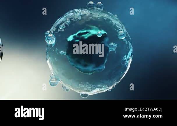 Artificial insemination in a scientific laboratory under a close-up ...