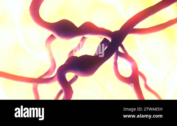 Neurons nervous system 3d Stock Videos & Footage - HD and 4K Video ...