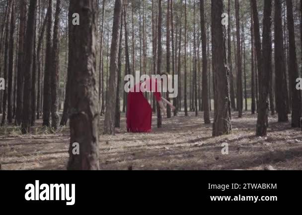 Professional young woman in red dress dancing in the forest. Beautiful ...