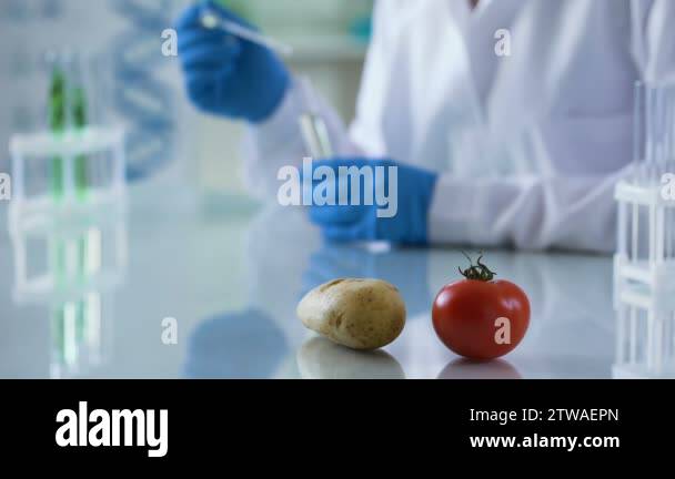 Medical nutrition laboratory Stock Videos & Footage - HD and 4K Video ...