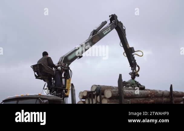 Mechanical arm loader unloads wood logs from heavy truck at sawmill ...