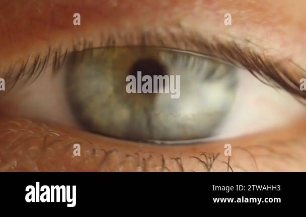 blinking male eye close-up looking around. red artery on the eyeball ...