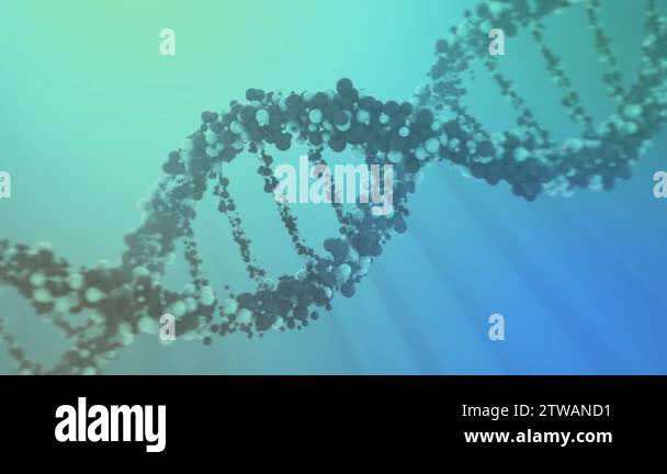 Animated DNA chain model. 3D rendering Stock Video Footage - Alamy