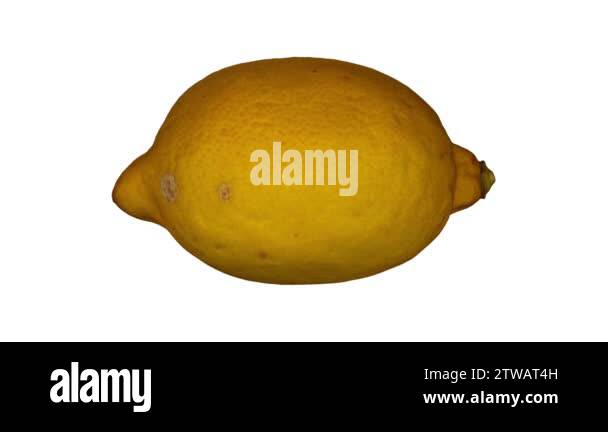Realistic render of a rotating Lemon on white background. The video is ...