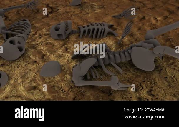 Dead skeletons Stock Videos & Footage - HD and 4K Video Clips - Alamy