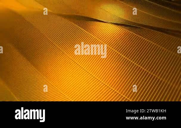 wave gold abstract background loop Stock Video Footage - Alamy