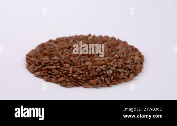 Indica rice Stock Videos & Footage - HD and 4K Video Clips - Alamy