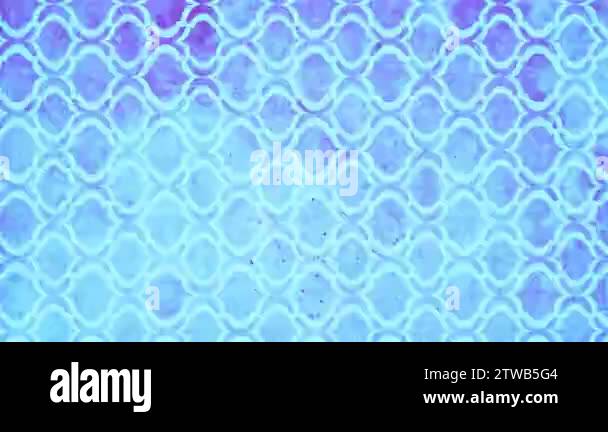 Scrapbook paper patterns Stock Videos & Footage - HD and 4K Video Clips ...