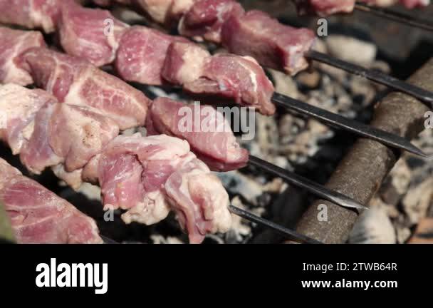 Grill, Frying Fresh Meat, Chicken Barbecue, Sausage, Kebab, Hamburger ...