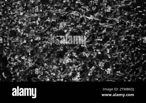 Sonic movement Stock Videos & Footage - HD and 4K Video Clips - Alamy