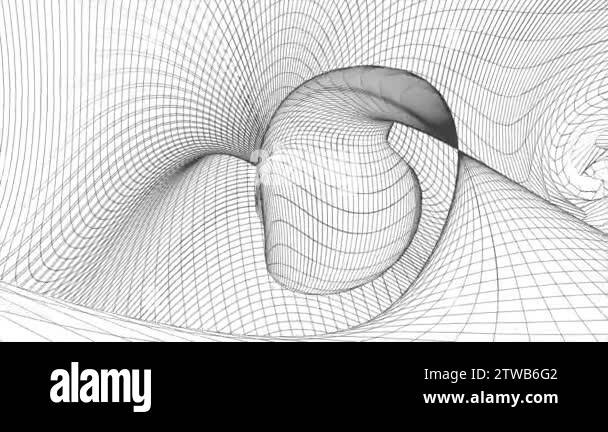 grid net polygonal wireframe peacock bird abstract drawing animation ...