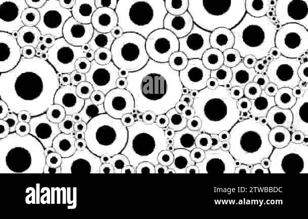 Animation of Multiple Circles in Random Shape Loop ; high definition ...