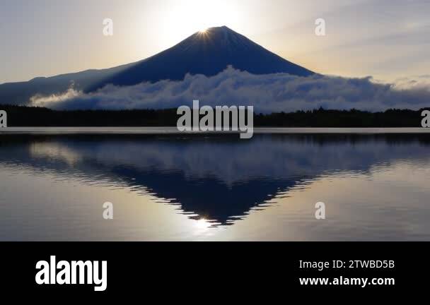 Tanuki japan Stock Videos & Footage - HD and 4K Video Clips - Alamy