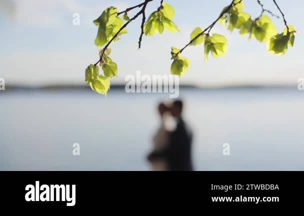 Defocused couple hug kissing standing on beach lake copyspace background. Spring green birch ...