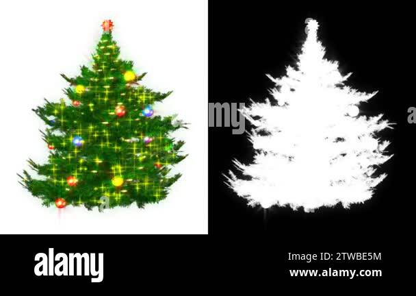 The fur tree Stock Videos & Footage - HD and 4K Video Clips - Alamy