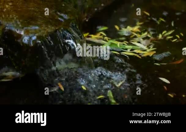 Rapid water flow Stock Videos & Footage - HD and 4K Video Clips - Alamy