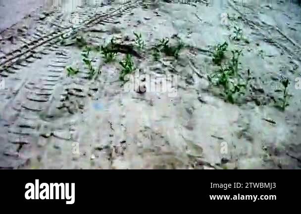 Man flees Stock Videos & Footage - HD and 4K Video Clips - Alamy