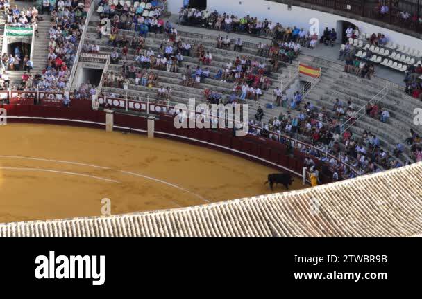 Bullfight, bull and bullfighter in bullring during a bullfight in Spain ...