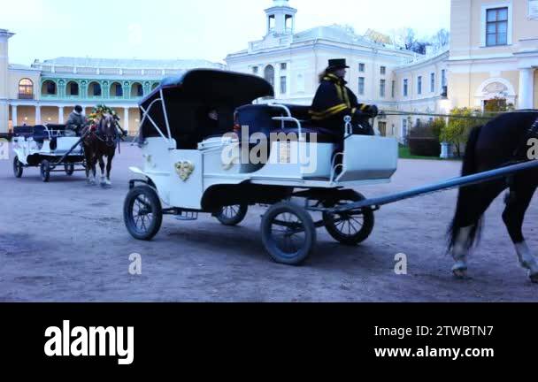 Holy land transport Stock Videos & Footage - HD and 4K Video Clips - Alamy