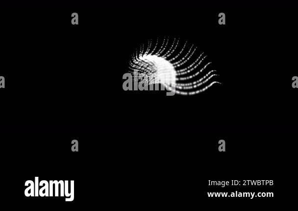 Cambrian fossil algae Stock Videos & Footage - HD and 4K Video Clips ...