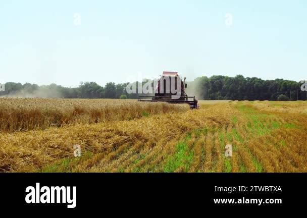 combine harvester on the chamfered wheat field, modern combine ...