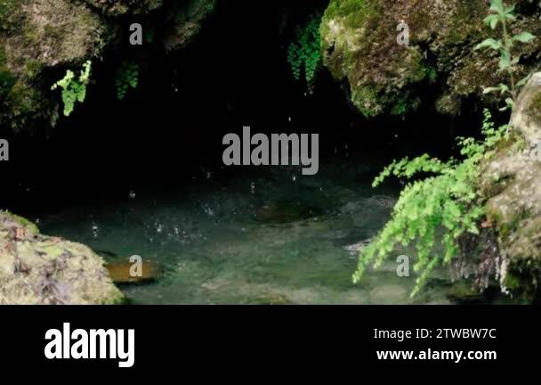 Water drip in cave Stock Videos & Footage - HD and 4K Video Clips - Alamy