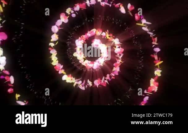Shiny flower petals Stock Videos & Footage - HD and 4K Video Clips - Alamy
