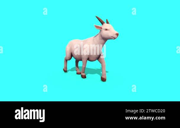 Screen goat Stock Videos & Footage - HD and 4K Video Clips - Alamy