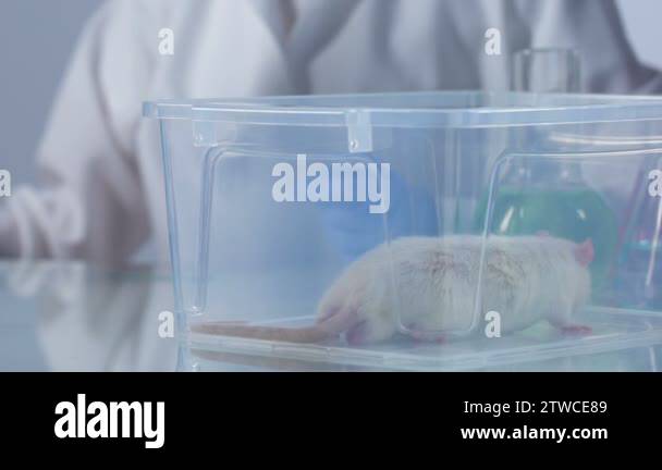 Sample injection Stock Videos & Footage - HD and 4K Video Clips - Alamy