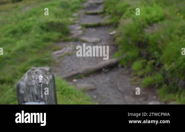 Trail blaze and appalachian trail Stock Videos & Footage - HD and 4K ... Trail blaze and appalachian trail Stock Videos & Footage - HD and 4K ...