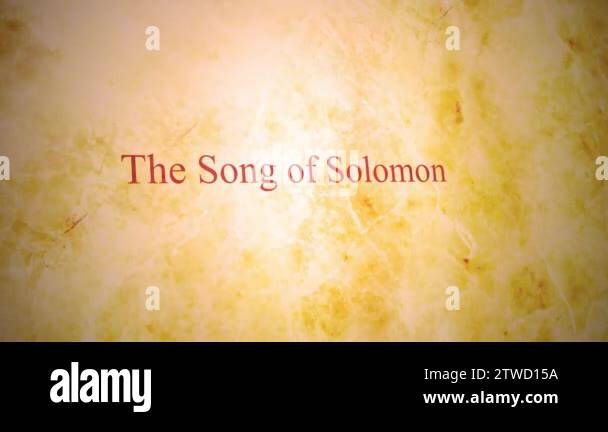Solomon bible Stock Videos & Footage - HD and 4K Video Clips - Alamy