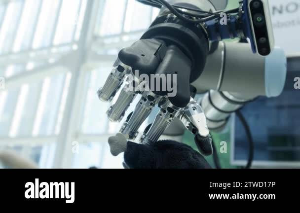 New technologies among us. The hand of the robot takes a soft toy in ...