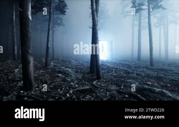 Alien in fog night forest. Light portal door. UFO concept. Realistic 4K ...