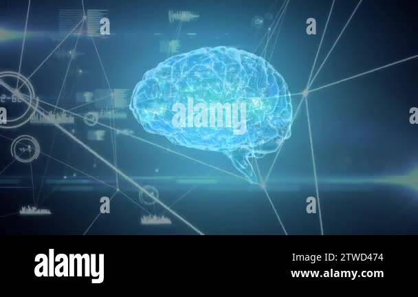 Digital animation brain network graphs Stock Videos & Footage - HD and ...