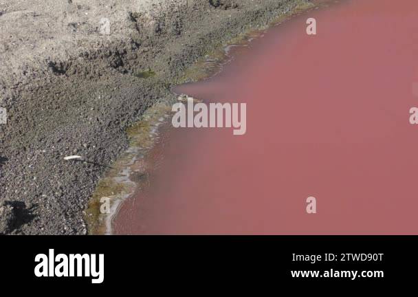 Puddles that left on the bottom of the drying up of salty estuary Stock ...