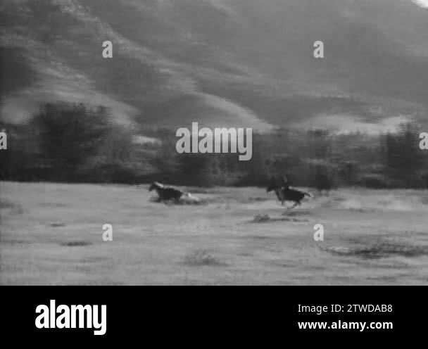 Cowboy chasing wild horse Stock Videos & Footage - HD and 4K Video ...