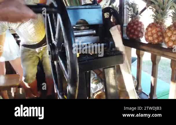 Sugar cane squeezing machine. Man squeezes sugar cane Stock Video ...
