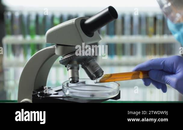 Observing bacteria under microscope Stock Videos & Footage - HD and 4K ...