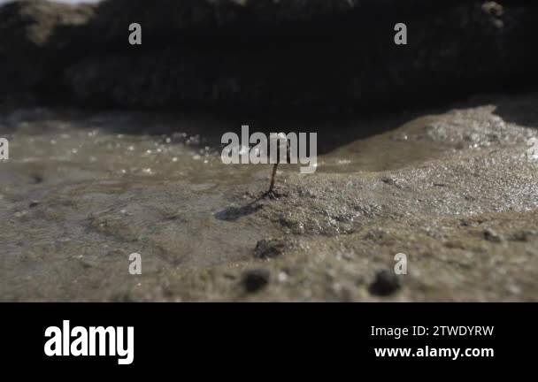 Timeless ocean landscape Stock Videos & Footage - HD and 4K Video Clips ...