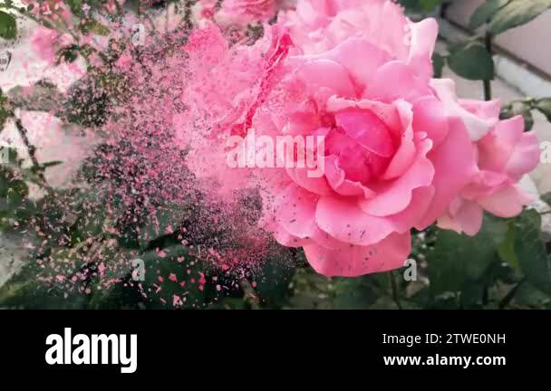 Dispersion effect Stock Videos & Footage - HD and 4K Video Clips - Alamy