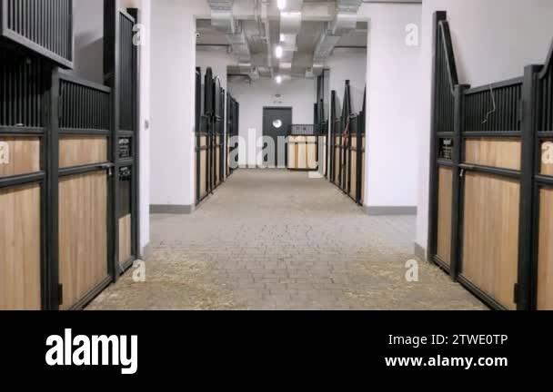 Animal paddock Stock Videos & Footage - HD and 4K Video Clips - Alamy