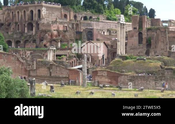 Rome, view and details of the ruins of the Roman Forum which together ...