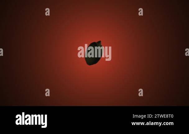 Splash of lemon. 3D animation. Objects spinning Stock Video Footage - Alamy