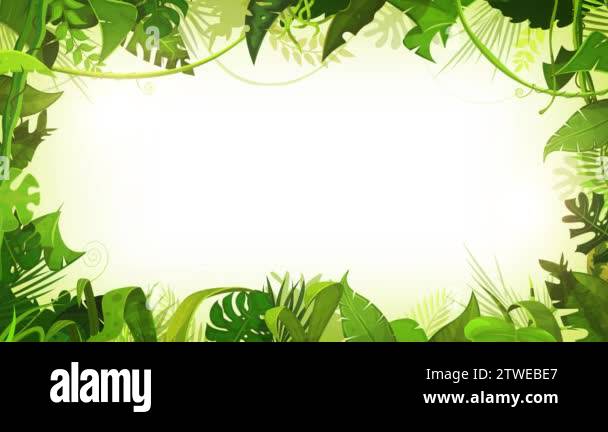 Jungle Tropical Landscape Animation Background Loop/ 4k animation of a ...
