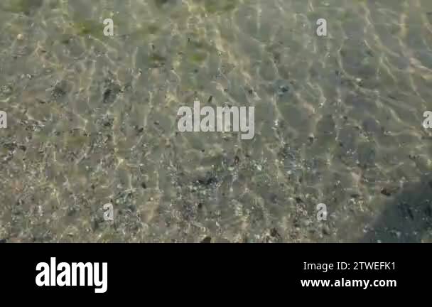 Underwater sea bed background Stock Videos & Footage - HD and 4K Video ...