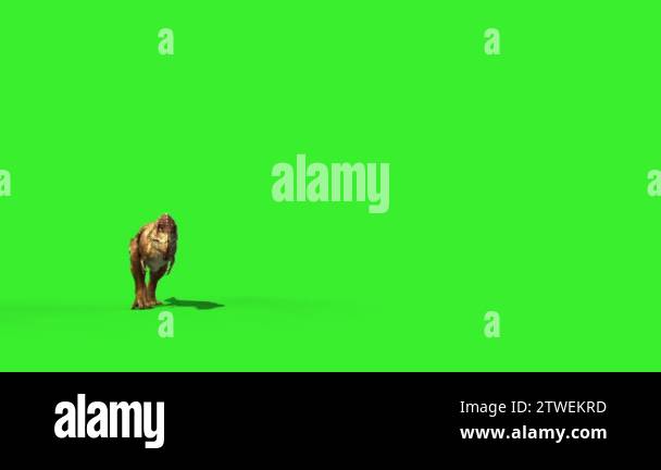 T Rex Tyrannosaur Feathered Run Jurassic World Dinosaurs Green Screen ...