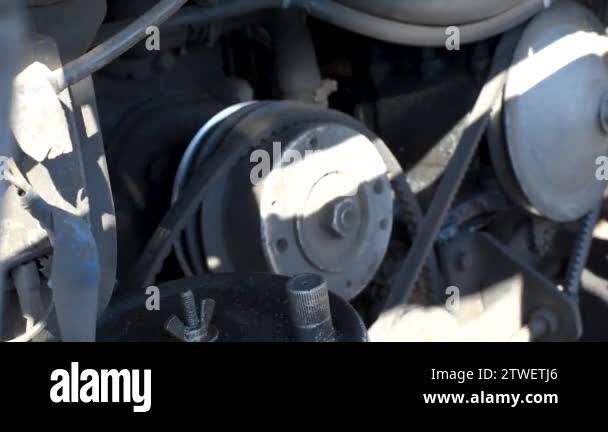 The mechanic changes the timing belt on the bus engine. Check the ...